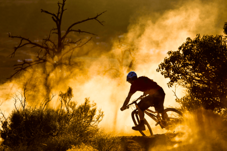 Bicycle insurance for cyclists, road riders, mountain bikers and ...